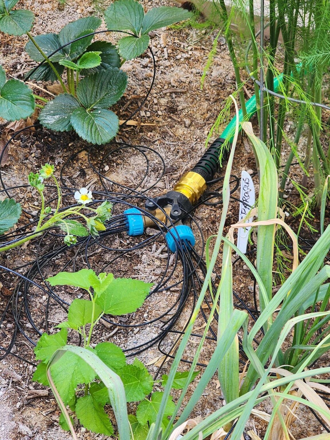 How To Install a Drip Water System for Gardens - Gardens Made Simple